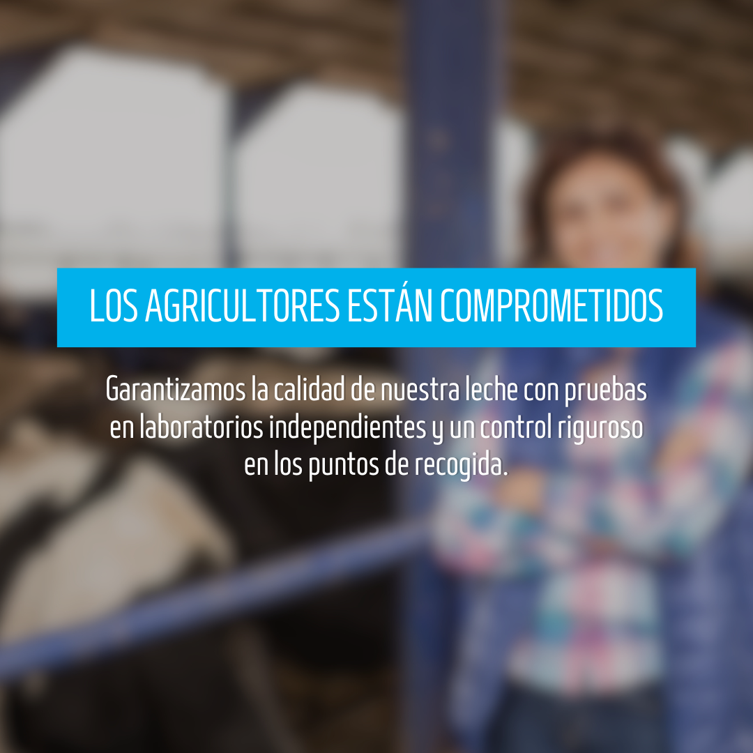 Eurial Ibérica Nosotros - Eurial Ibérica