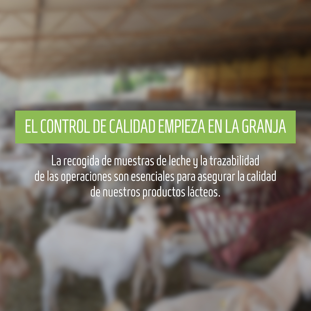 Eurial Ibérica Nosotros - Eurial Ibérica